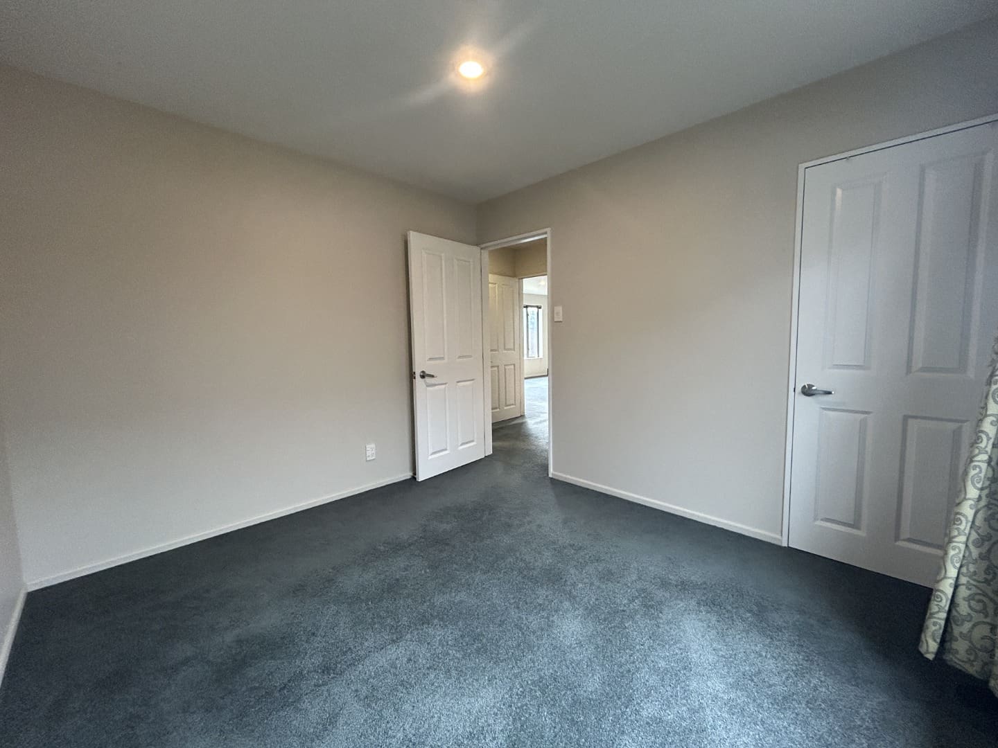 Modest on Mollymawk, Woolston | Braziers