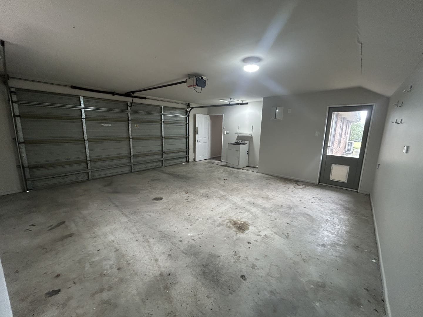 Modest on Mollymawk, Woolston | Braziers